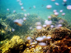 Breath: A Prayer Underwater