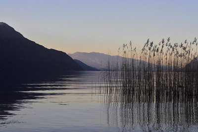 Mindfulness: Non-Judgmental Attunement